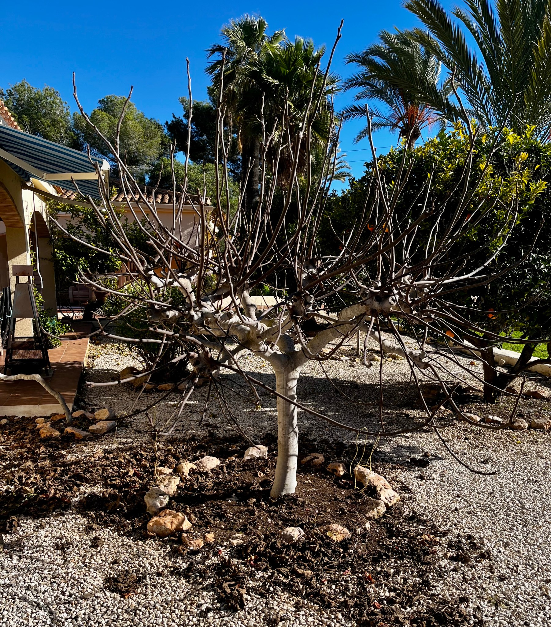 The big Winter cutback Part 3 and the chickens get a soft play area ...